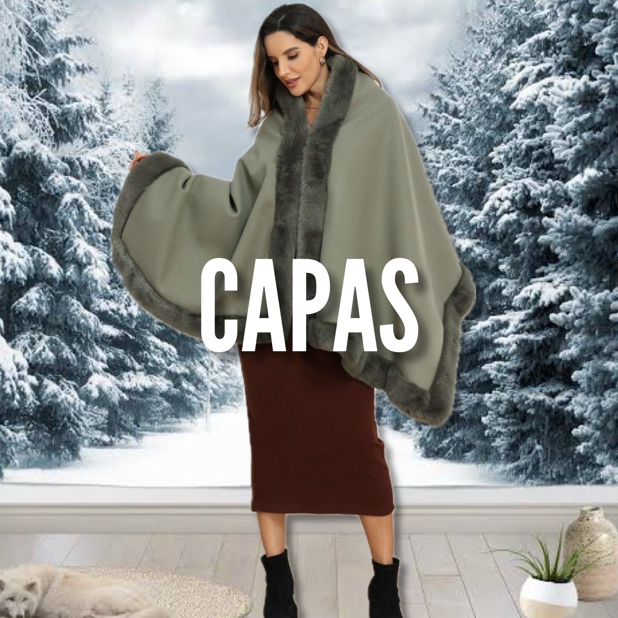 capa – BASICO
